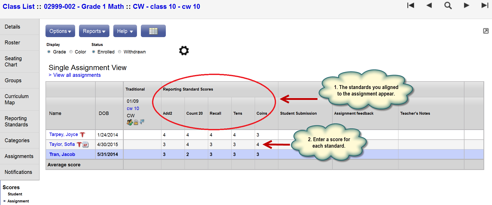 Aligning Reporting Standards to an Assignment